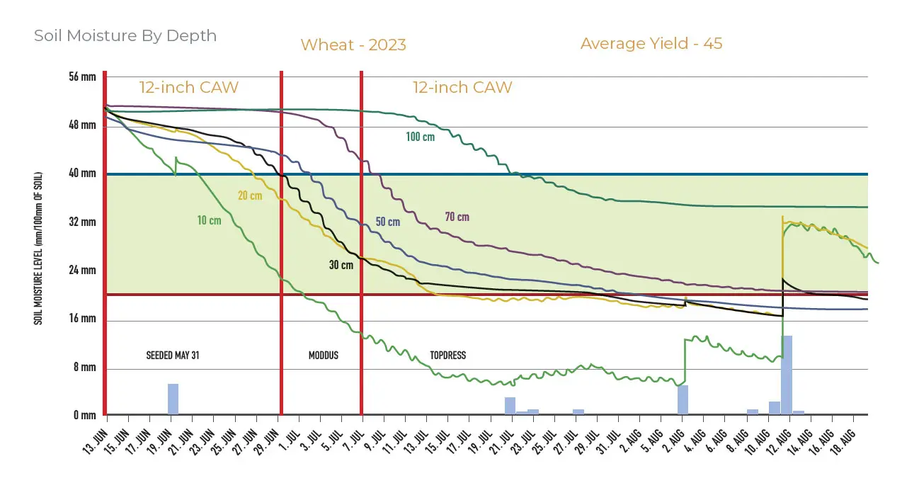 Specialty Crops | Hybrid Rye, Forage & Turf Solutions – Condie Seed
