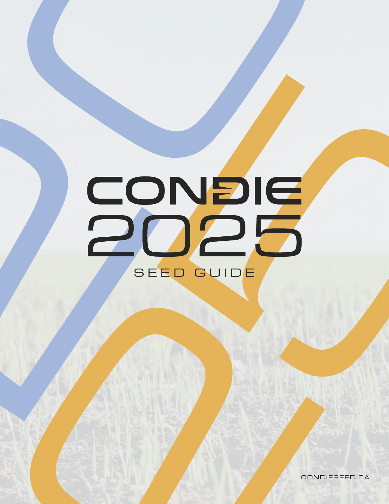Certified Cereal Seed | Wheat, Oats, Barley – Condie Seed